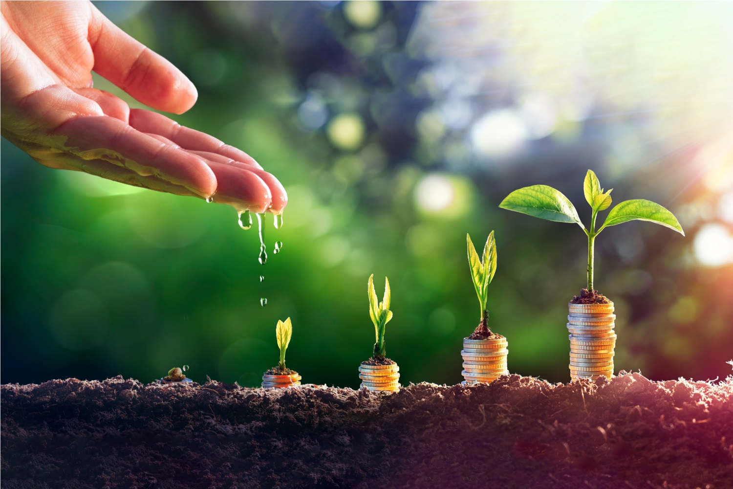 Top 10 Capital Preservation Strategies for Investors